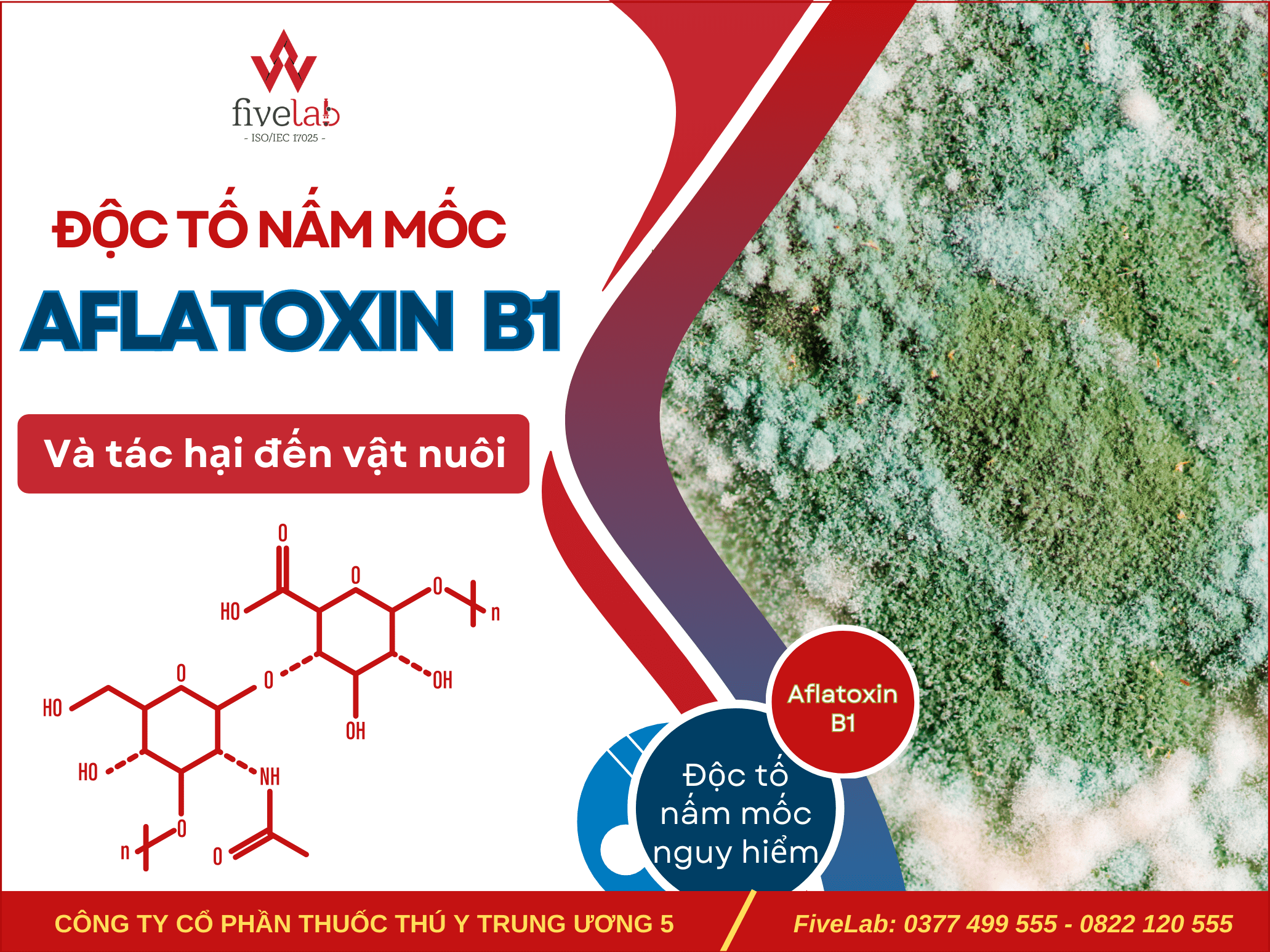 Fivevet - Công ty CP thuốc thú y Trung Ương 5 • ĐỘC TỐ NẤM MỐC ...